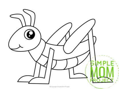 Insect & Bug Templates – 11 Printable Coloring & Craft Activities for ...