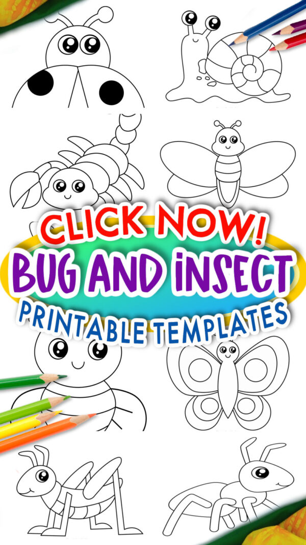 11 Bug and Insect Template Instant Printables – Simple Mom Project Store
