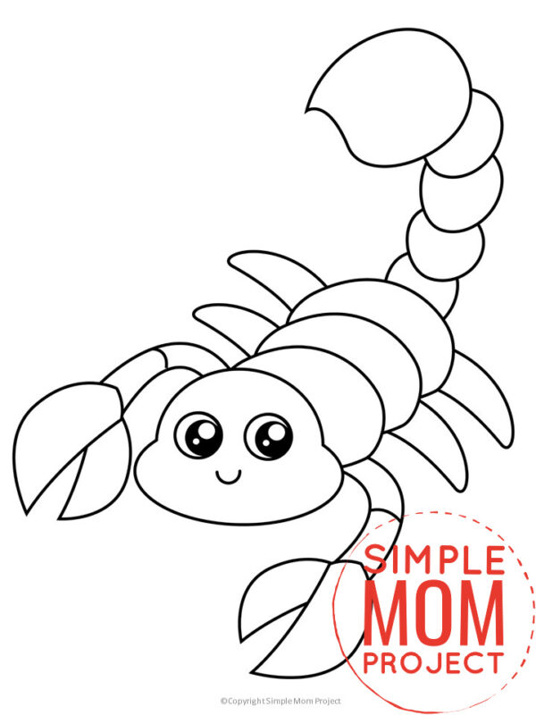 11 Bug and Insect Template Instant Printables – Simple Mom Project Store