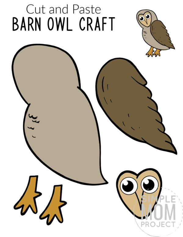 30 Bird Cut and Paste Craft Templates | Black/White and Full Colored ...