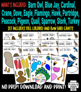 Bird Crafts Mega Bundle – 30 Printable Cut & Paste Templates (Color ...