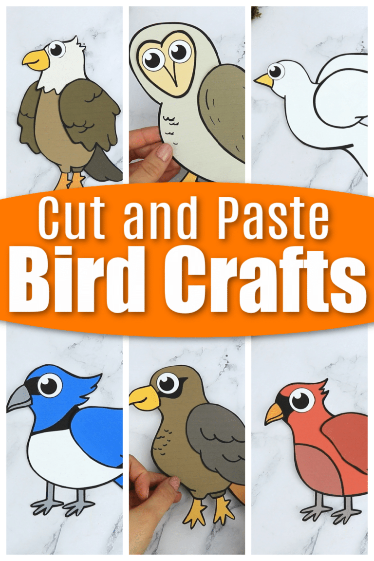 30 Bird Cut and Paste Craft Templates | Black/White and Full Colored ...