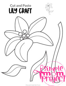 Flower Crafts Mega Bundle – 16 Printable Cut & Paste Templates (Color ...