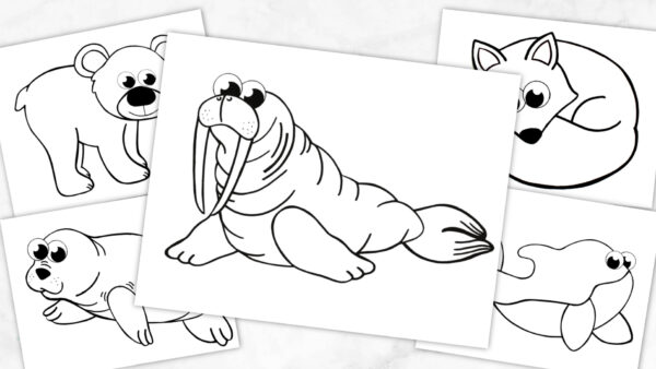 13 Instant Download Arctic Animal Printable Templates for Kids – Simple ...