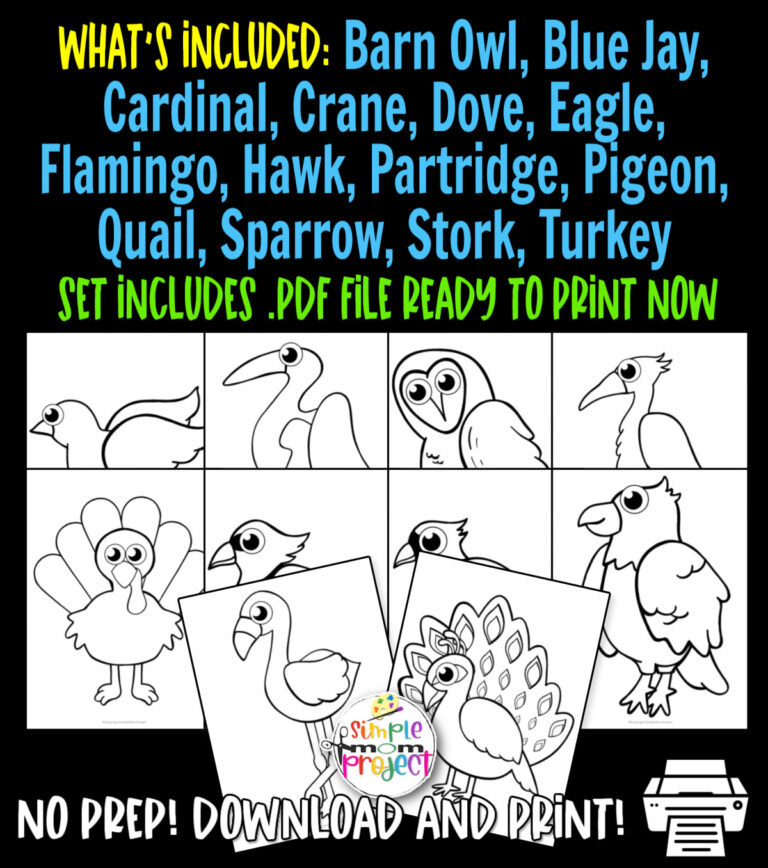 Bird Printable Templates - Simple Mom Project Store