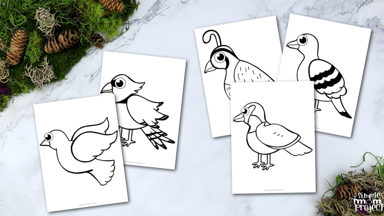 15 Adorable Bird Printable Template for Kids – Simple Mom Project Store